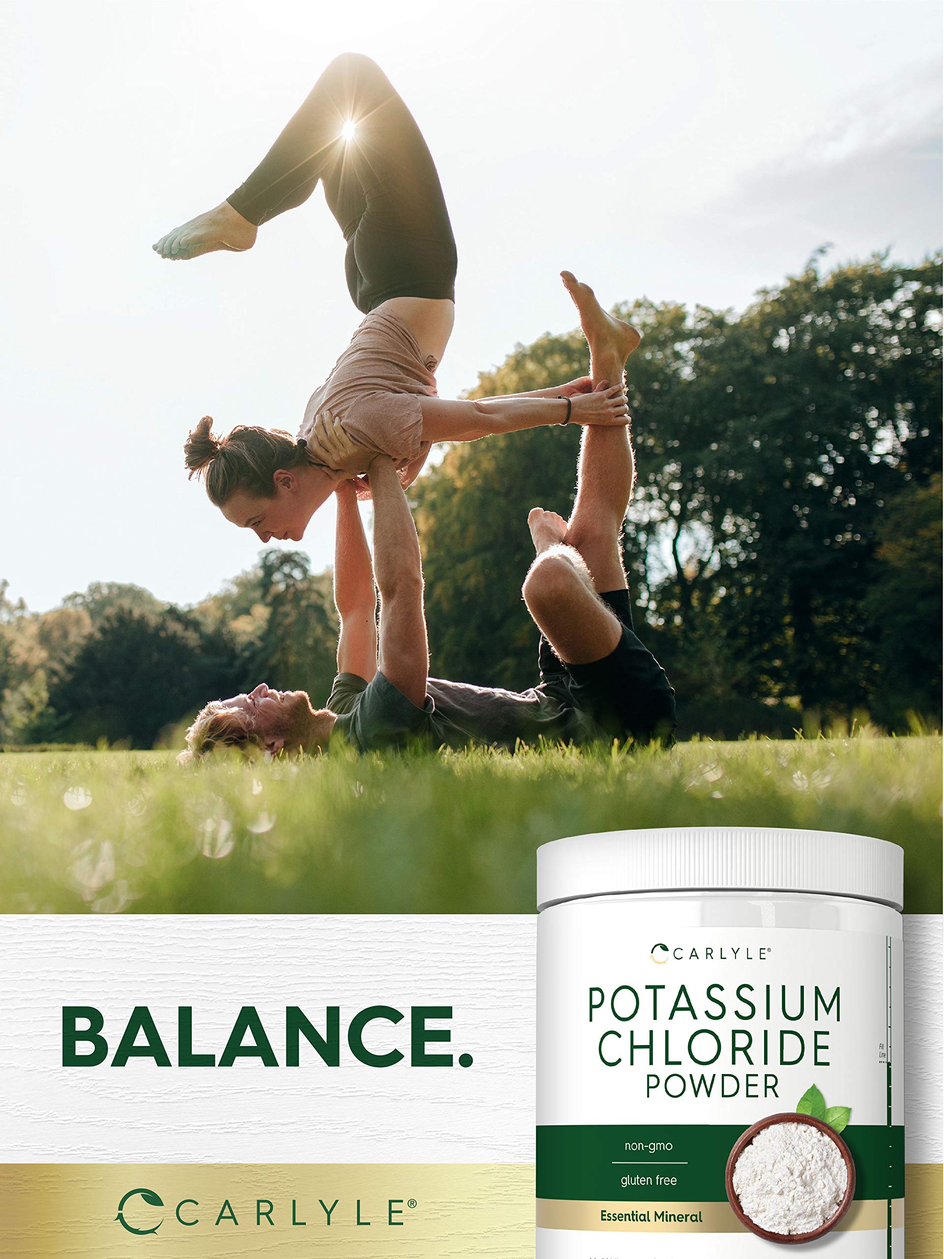 vegan-friendly potassium supplement powder