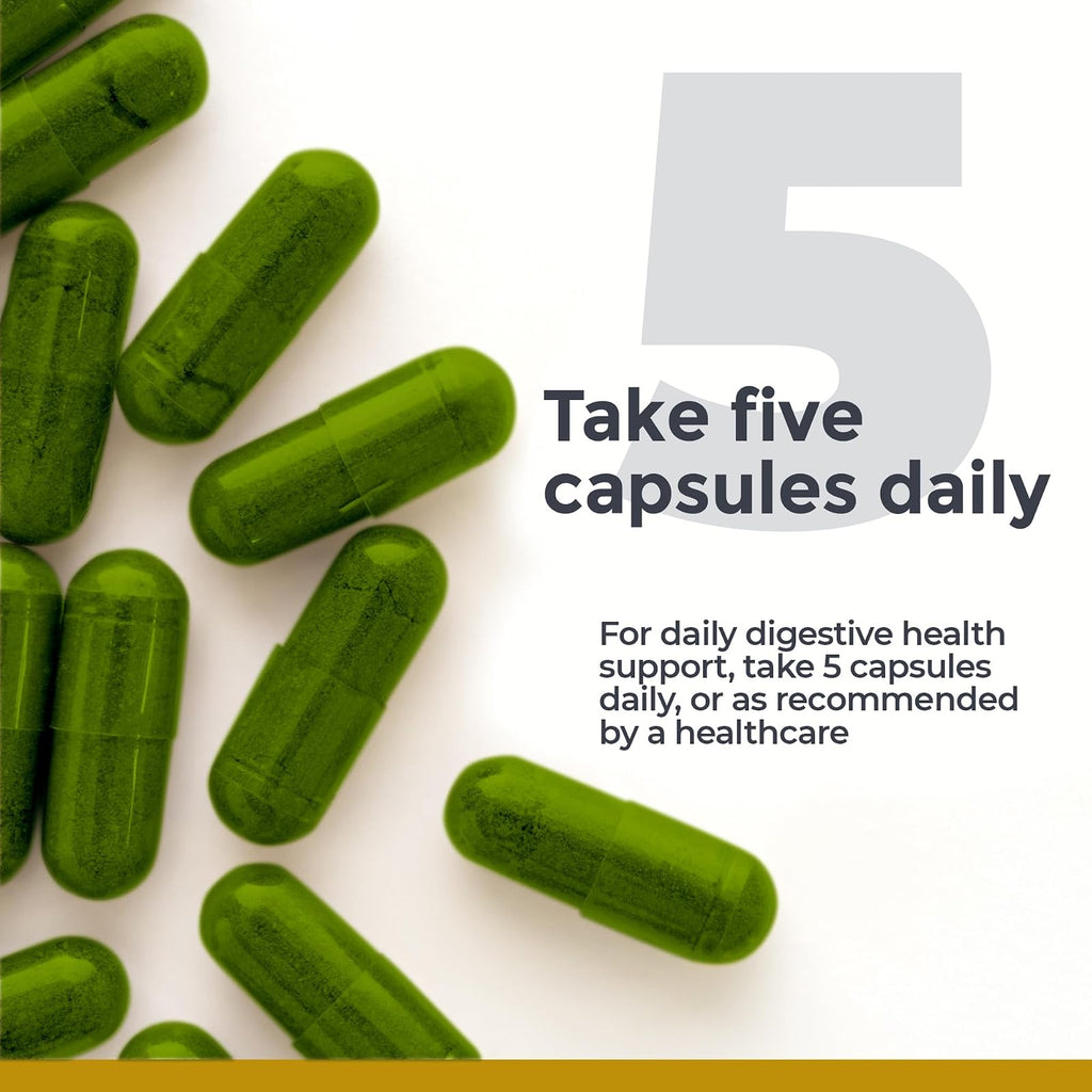 vegan-friendly probiotic fermented supplement