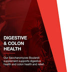 Vegan-friendly probiotic for wellness