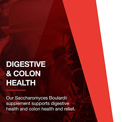 Vegan-friendly probiotic for wellness