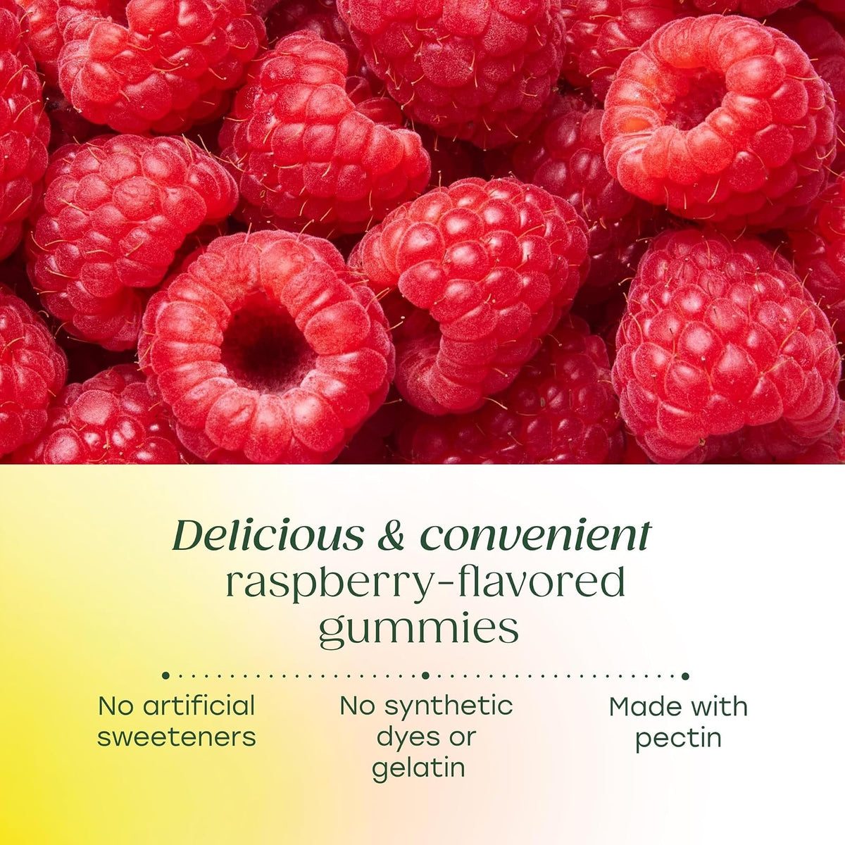 vegan-friendly probiotic gummies