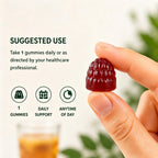Vegan-friendly probiotic kombucha gummies