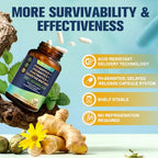 vegan-friendly probiotic supplement capsules