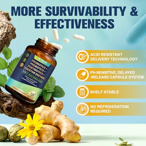 vegan-friendly probiotic supplement capsules