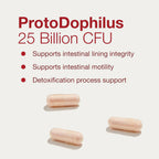 vegan-friendly probiotic supplement
