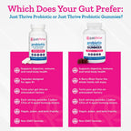 Vegan-friendly probiotics for a healthier lifestyle