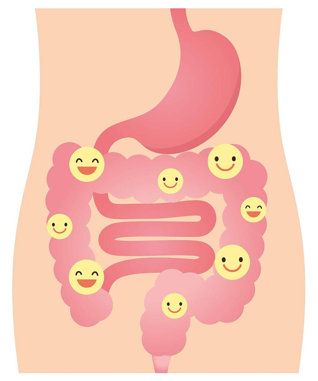vegan-friendly probiotics for daily use