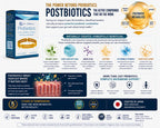 vegan-friendly probiotics for daily use