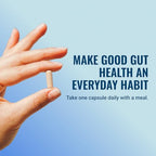 vegan-friendly probiotics for digestion