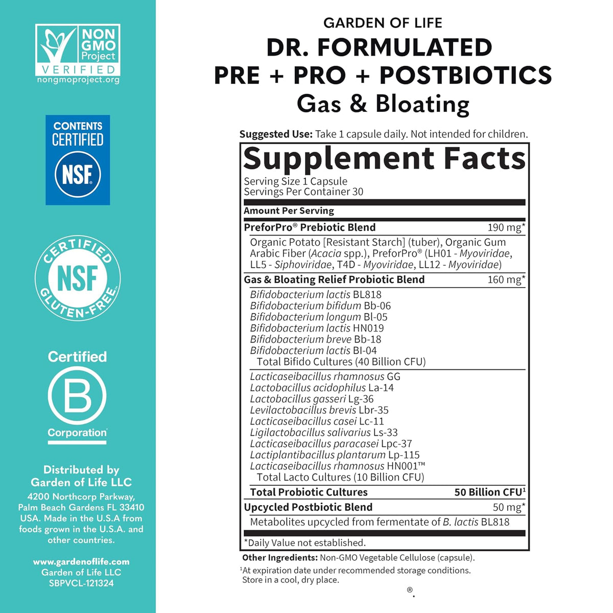 vegan-friendly probiotics for digestive wellness