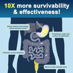 vegan-friendly probiotics for men