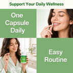 vegan-friendly probiotics for sensitive stomachs
