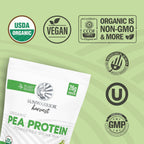 vegan-friendly protein powder option
