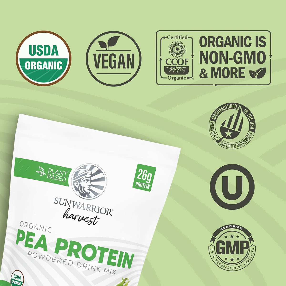 vegan-friendly protein powder option