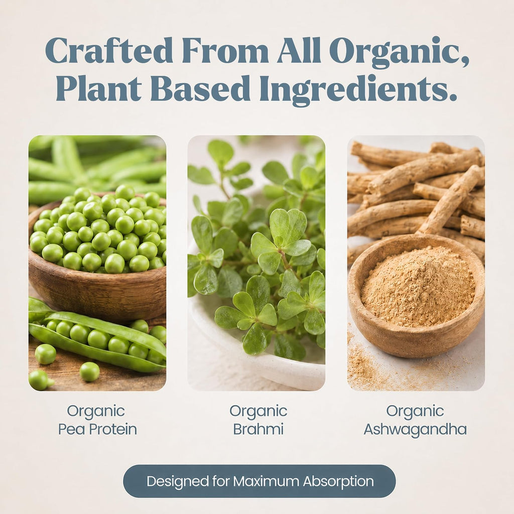vegan-friendly protein powder option