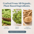 vegan-friendly protein powder option