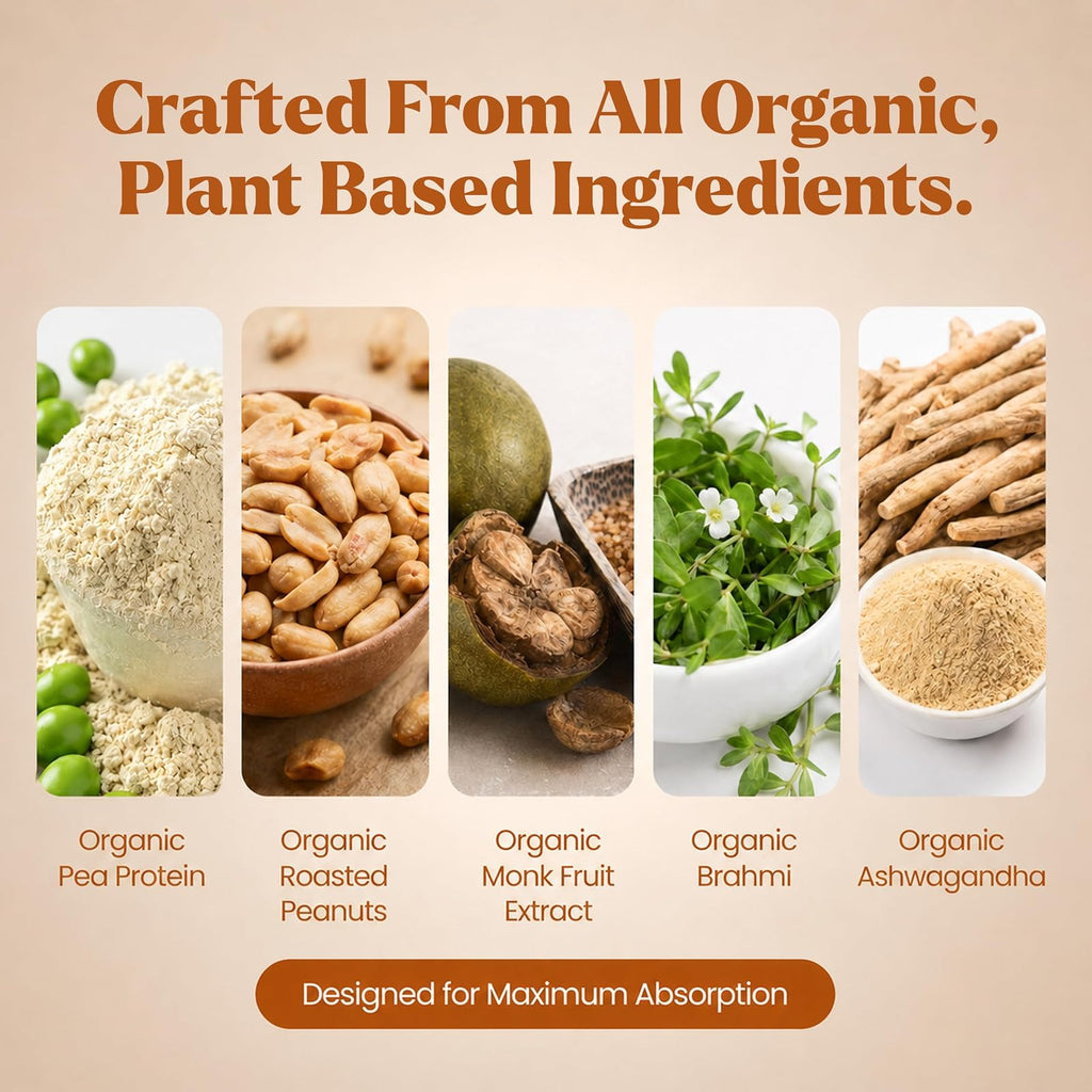 vegan-friendly protein powder option
