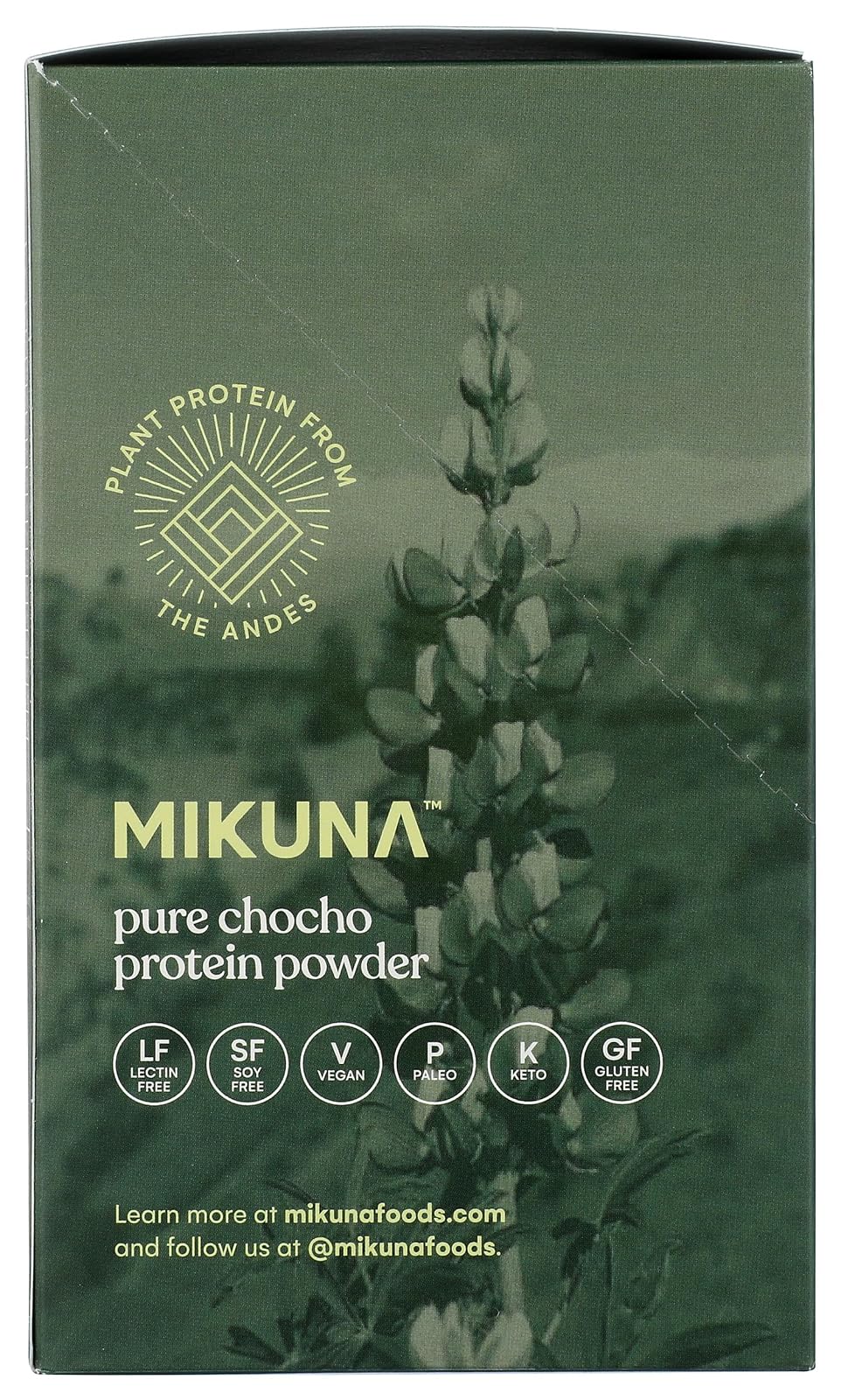 Vegan-friendly protein powder option