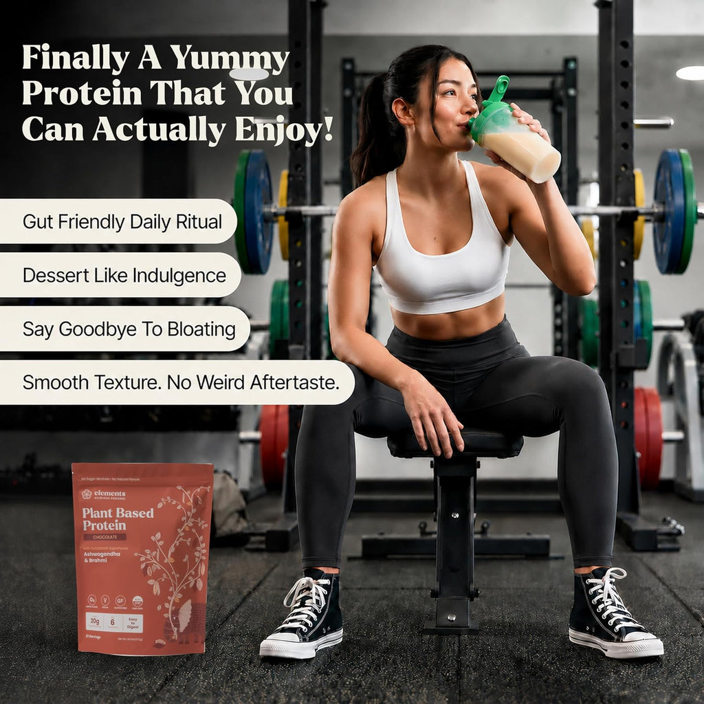 vegan-friendly protein powder option
