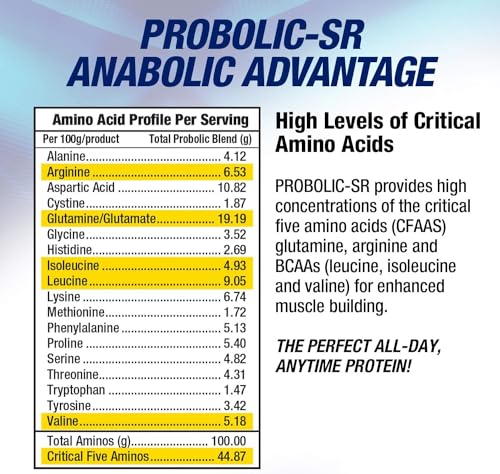 vegan-friendly protein supplement