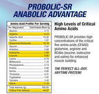 vegan-friendly protein supplement