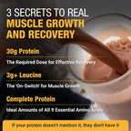vegan-friendly protein supplement