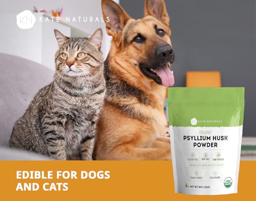 vegan-friendly psyllium husk powder