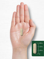 vegan-friendly psyllium husk supplement