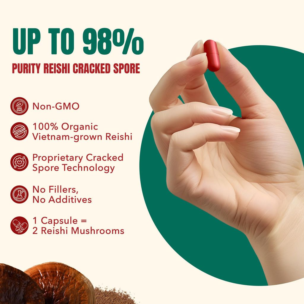 Vegan-friendly Reishi mushroom capsules