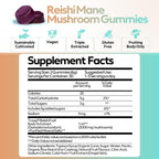 Vegan-friendly reishi mushroom gummies