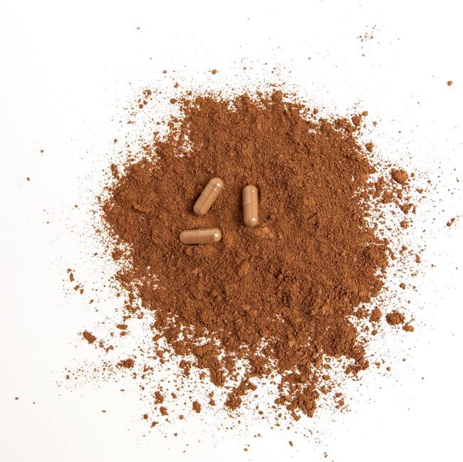 vegan-friendly reishi mushroom supplement