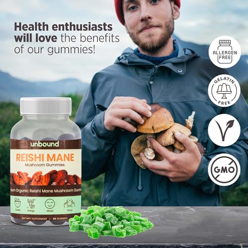 Vegan-friendly Reishi mushroom vitamins