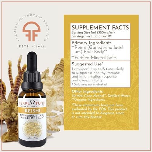 vegan-friendly reishi tincture option