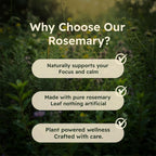 vegan-friendly rosemary capsules