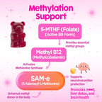 Vegan-friendly SAM-e L-Tyrosine gummies