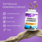 vegan-friendly sambucus elderberry product