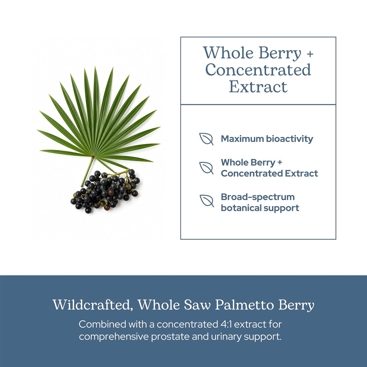 vegan-friendly Saw Palmetto capsules