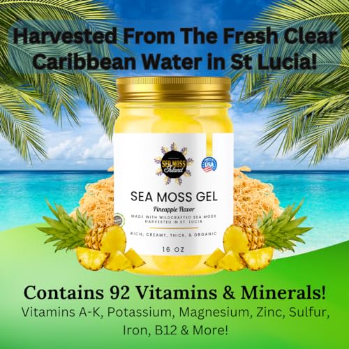 vegan-friendly sea moss blend