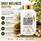 Vegan-friendly sea moss capsules
