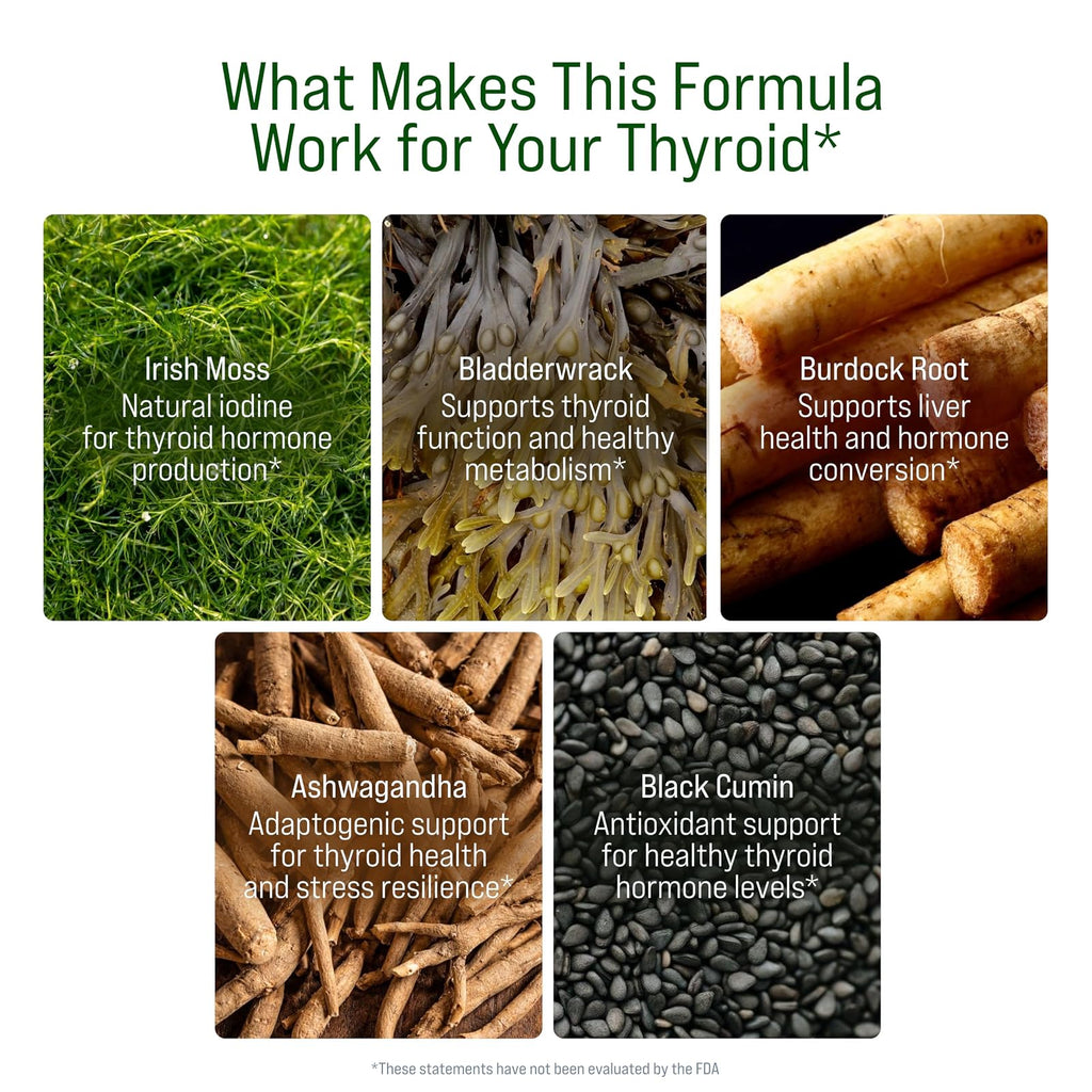 vegan-friendly sea moss liquid