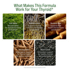 vegan-friendly sea moss liquid