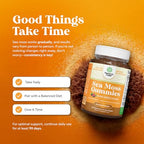 Vegan-friendly sea moss supplements