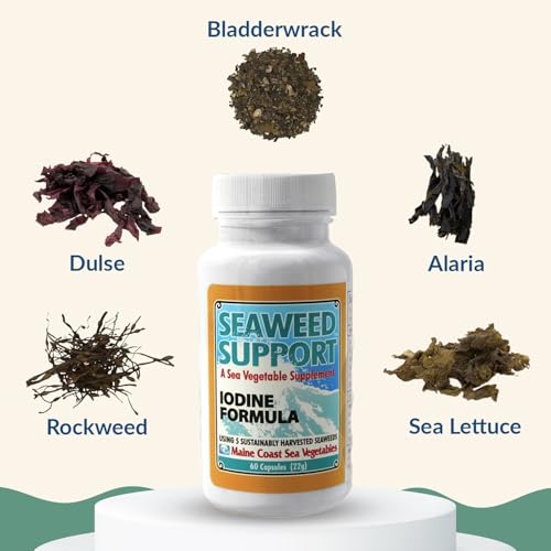 vegan-friendly seaweed nutrition