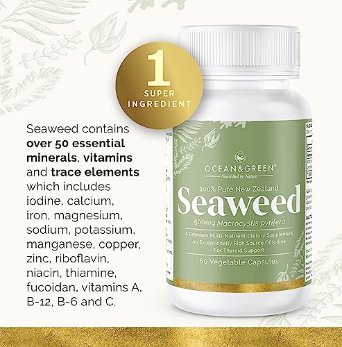 vegan-friendly seaweed supplement