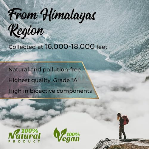 Vegan-friendly Shilajit mineral gummies
