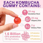vegan-friendly Tiuedu probiotic kombucha gummies