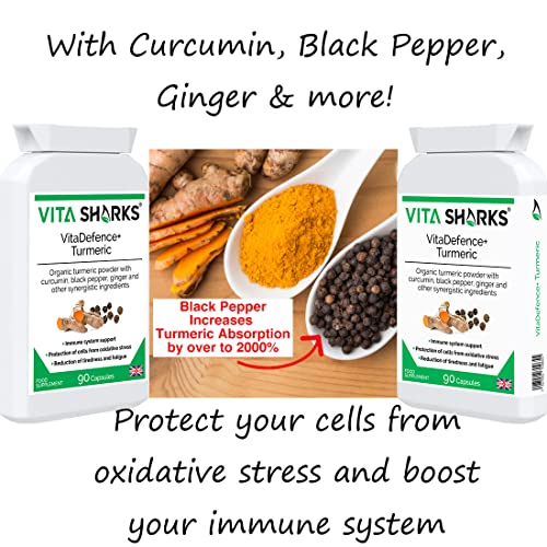 vegan-friendly turmeric supplement