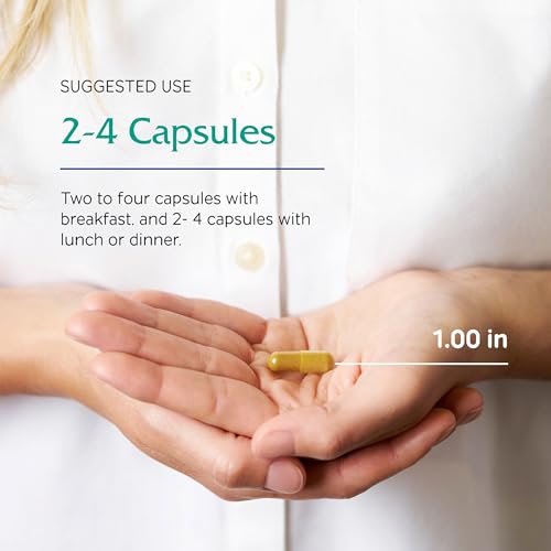 Vegan-friendly vitamin and mineral blend