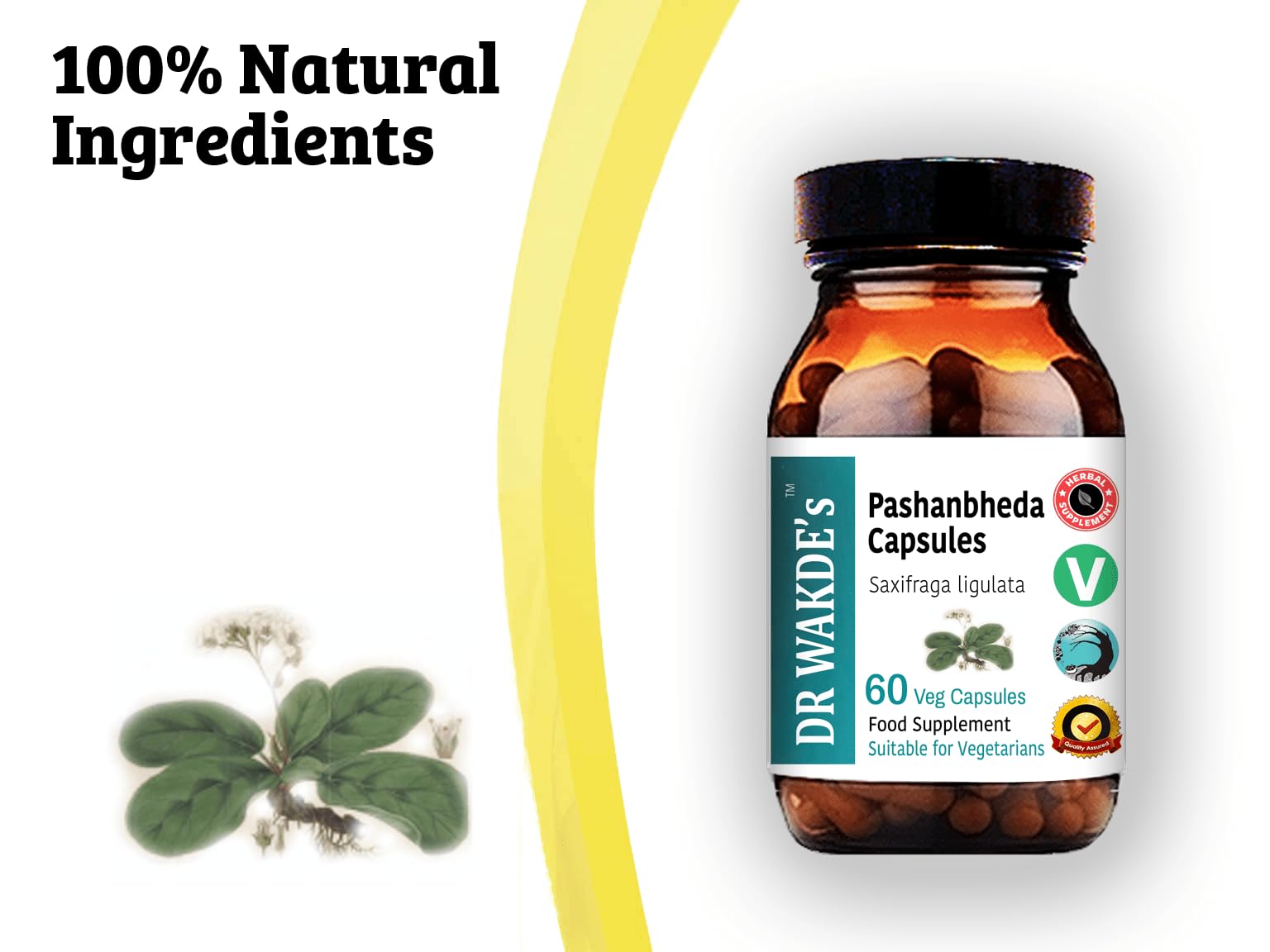 vegan-friendly vitamin and mineral support