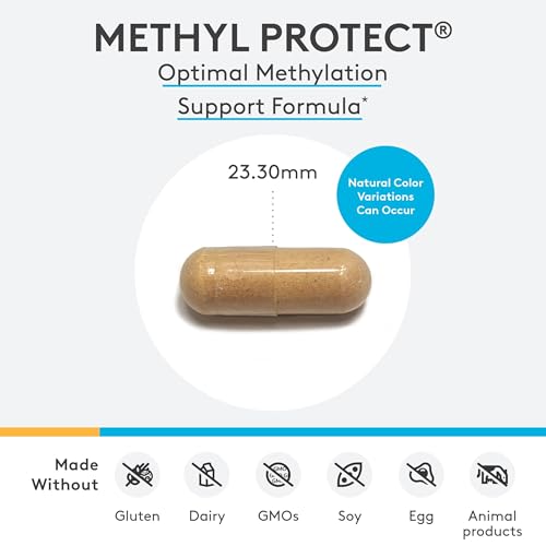vegan-friendly vitamin b12 source